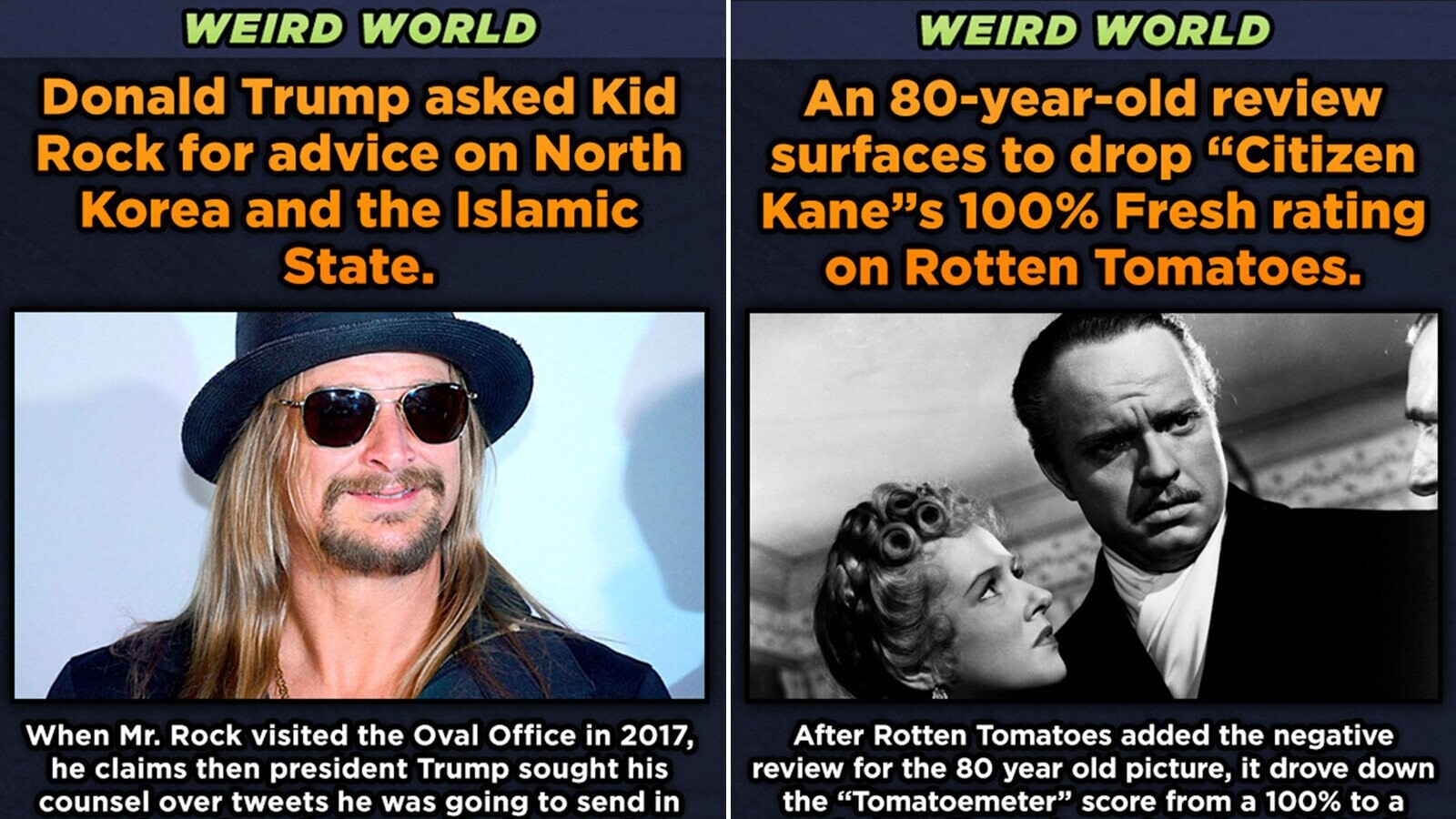 15 Weird News Stories That Give Us Grave Concern For Humanity | Cracked.com