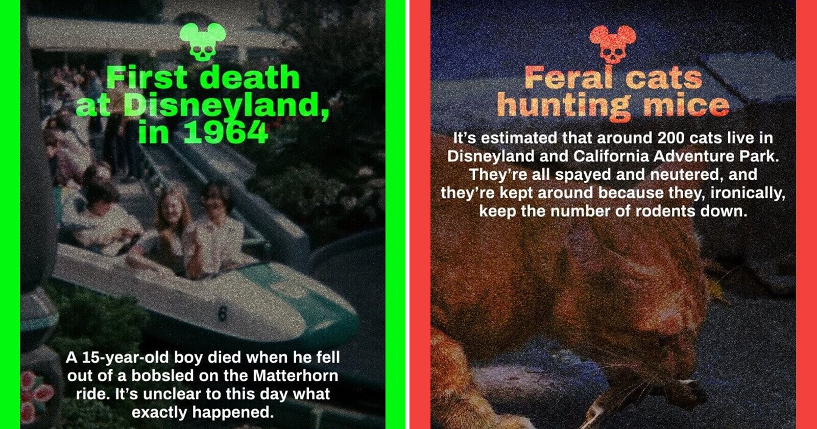 12 Disney Park Disasters And Dark Secrets That Made It the Second ...