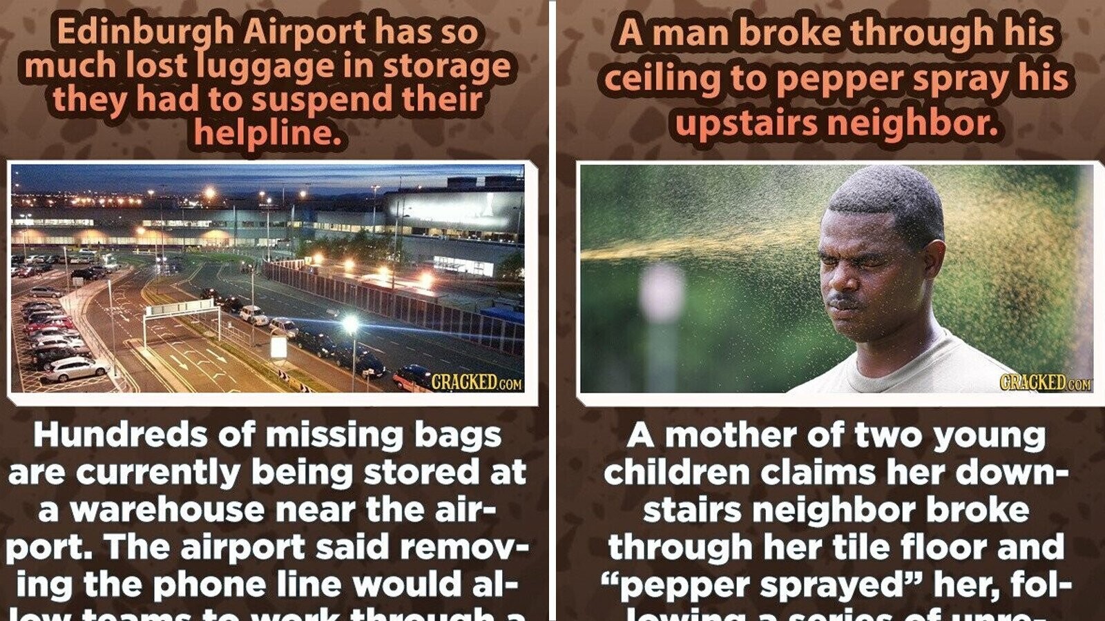 25 Tales From The Front Page That Made Our Ears Perk Up | Cracked.com
