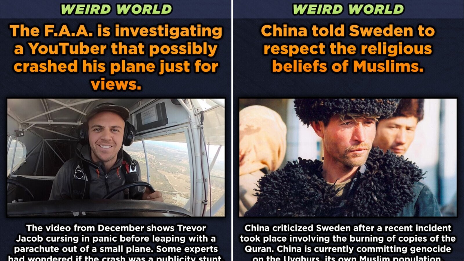 15 Weird And Wild Headlines That Gave Us Pause | Cracked.com