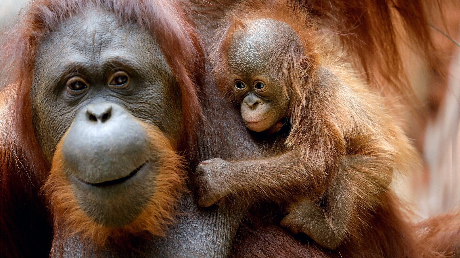 40 Random Bits of Trivia That Are Living in a Vastly Different World ...