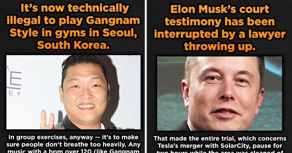 24 Weird News Stories That Didn't Receive Half The Attention They ...