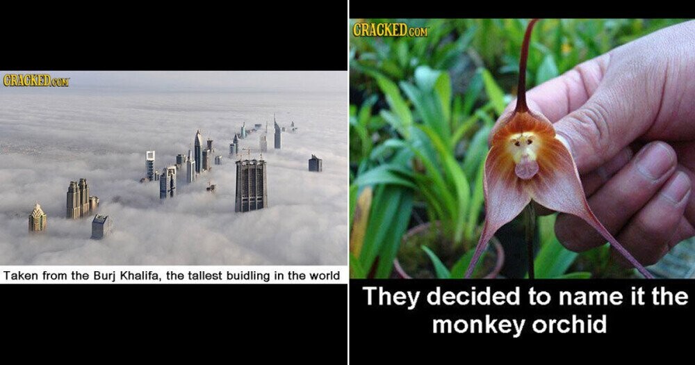 19 Images That Defy Explanation, Explained | Cracked.com