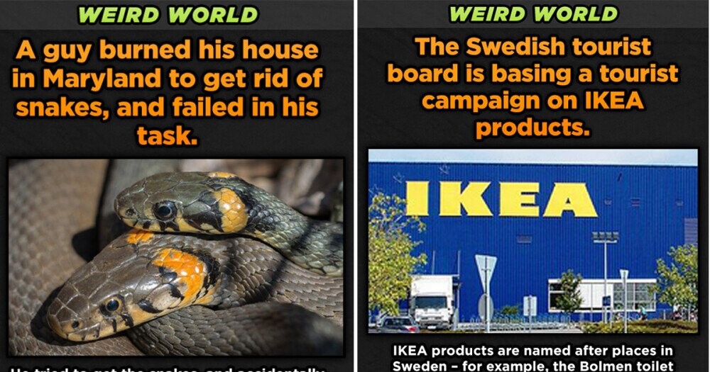 Weird World: 12 Utterly Unexpected, Yet Utterly Real Events | Cracked.com