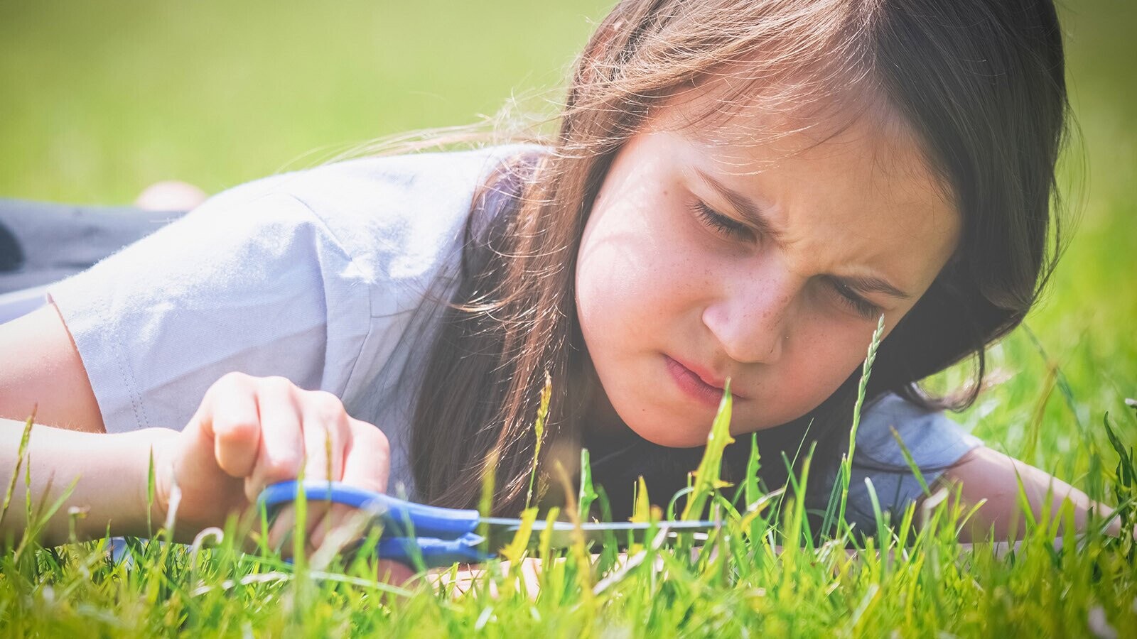 21 of the Most Hilariously Irrational Things People Have Done | Cracked.com