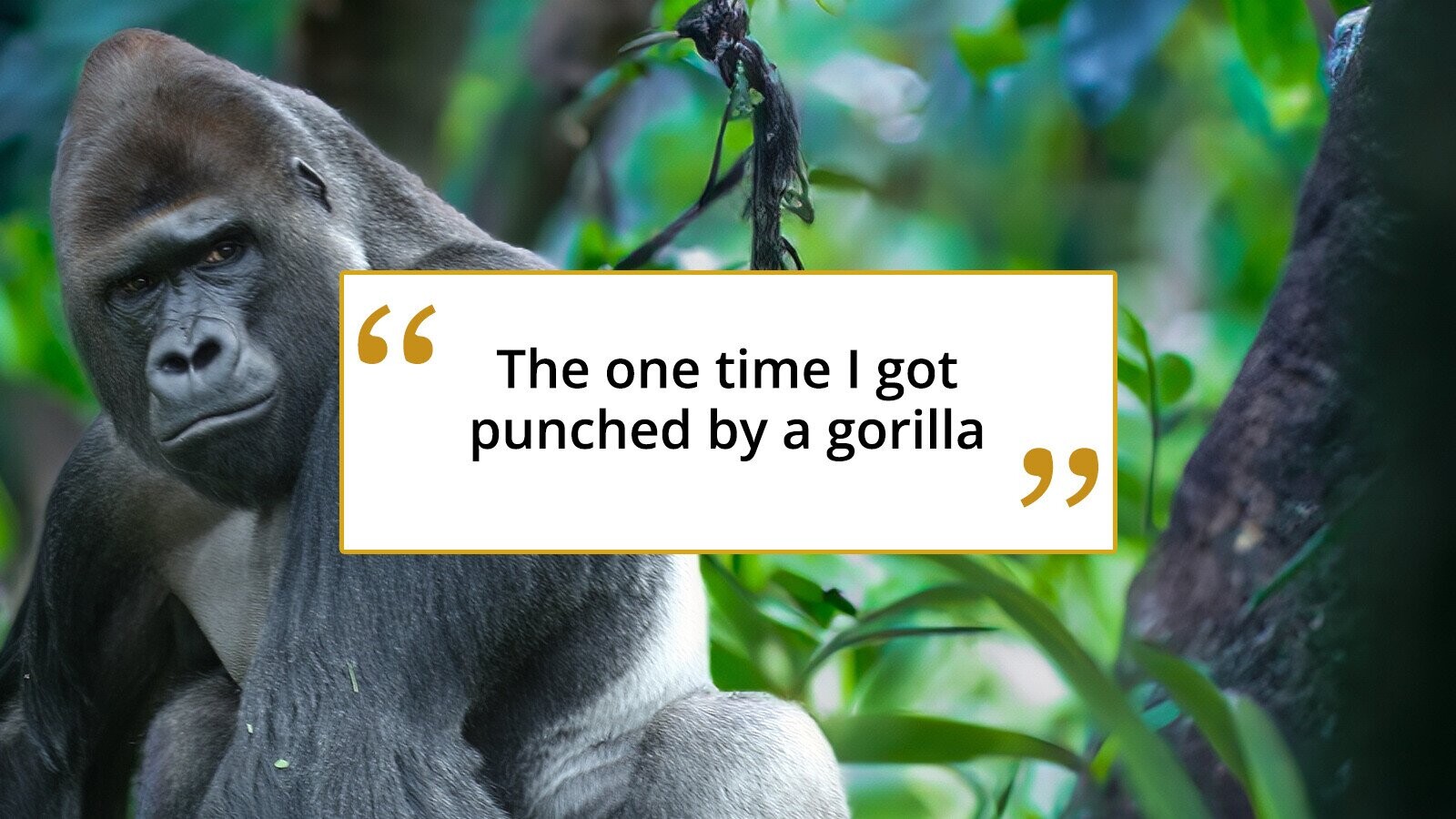 27 of the Funniest First-and-Last Experiences | Cracked.com