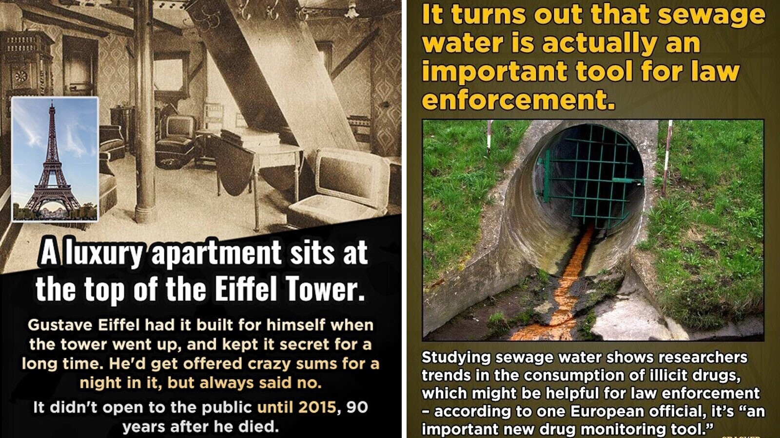 40 Battered Bits of Trivia That Are Ready for A Deep-Frying in That ...