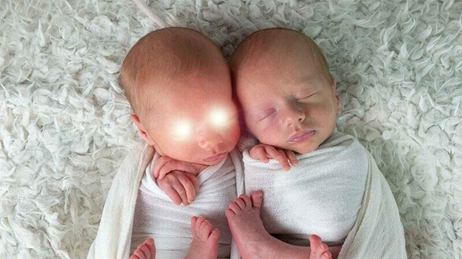 10 Pairs of Famous Twins I Think We Can Admit Are At Least Mildly ...