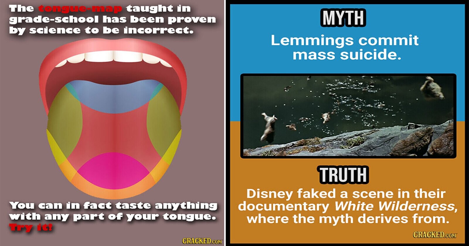 45 Random Trivia Tidbits That Are One Call Away If You’ve Been Injured ...