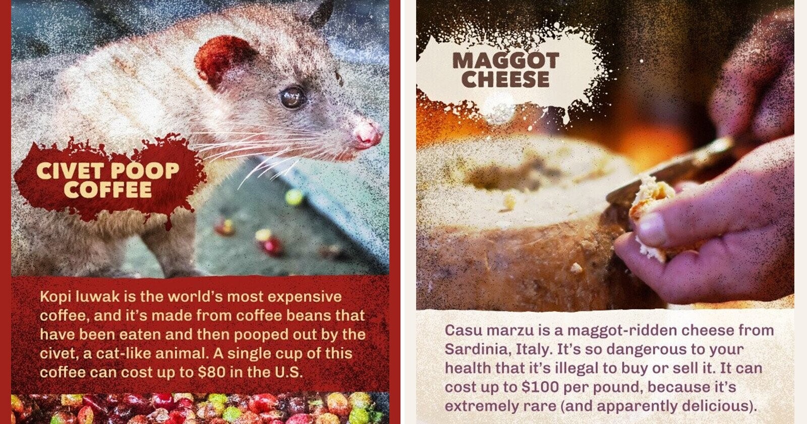 12 Disgusting Things That Are Valuable as Hell | Cracked.com