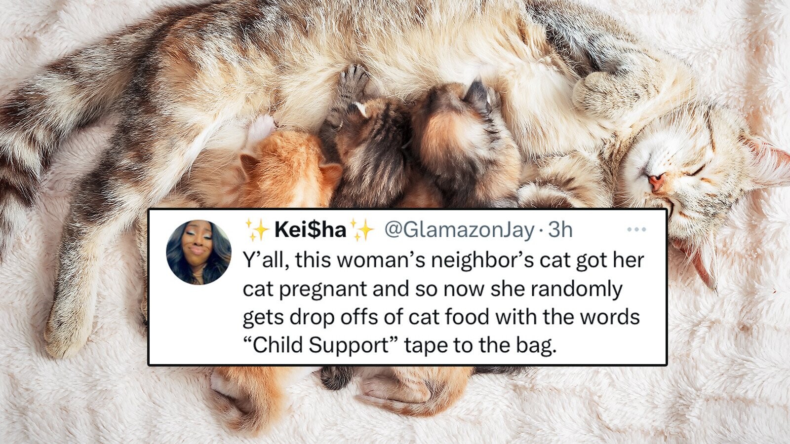 24 of the Funniest Tweets from Friday, May 3, 2024 | Cracked.com