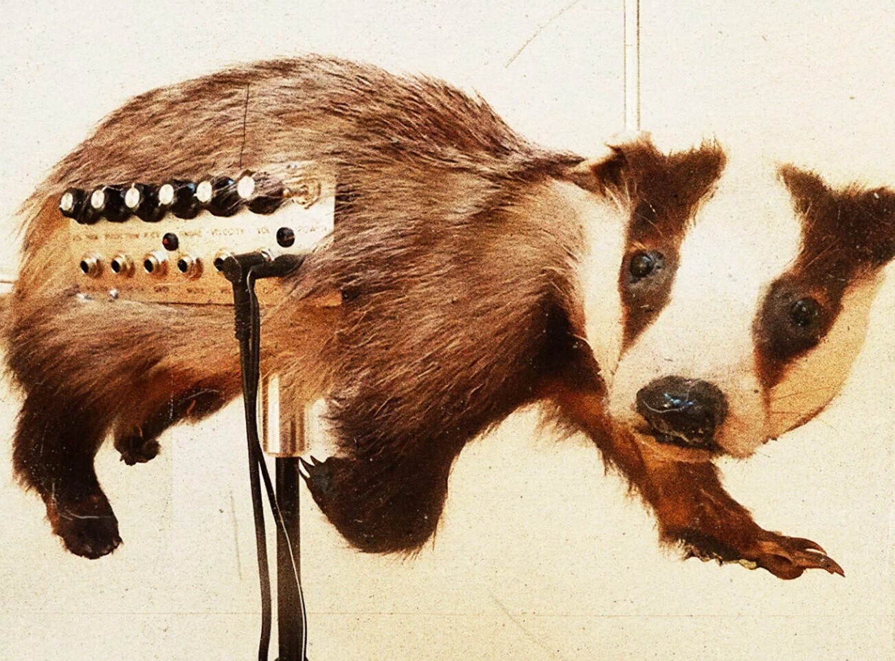 15 of the Strangest Ways Humans Have Tried To Make Sound | Cracked.com