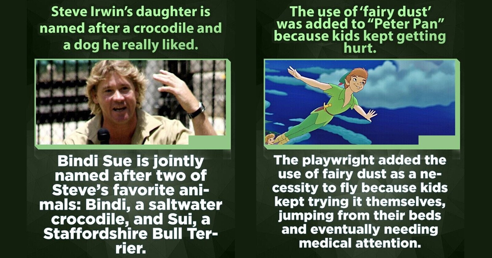 40 Random Bits of Trivia We Stepped in a Ways Back and Can’t Get Off ...