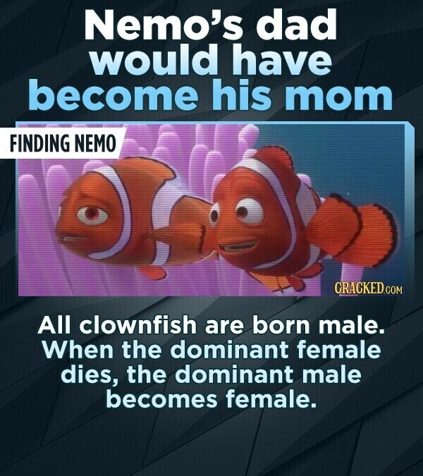 29 Trivia Nuggets From Pop Culture History About Movies For Sunday ...