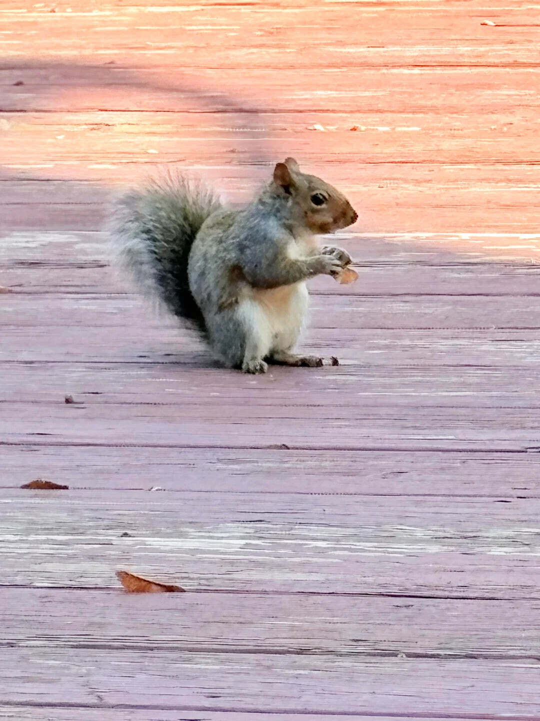 Uncommon Shots From Everyday Life That Look Normal | Cracked.com