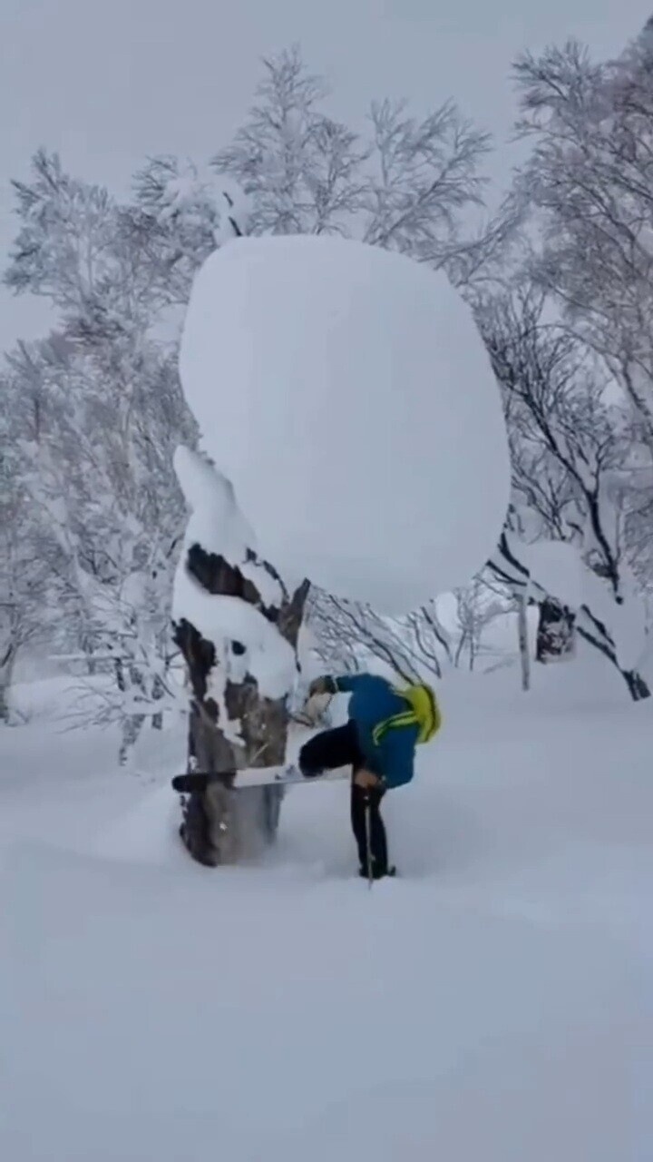 20 People Stuck in the Wrong Place at the Wrong Time | Cracked.com
