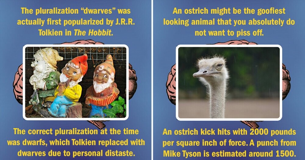 12 Facts To Cause A Quizzical Hmm | Cracked.com