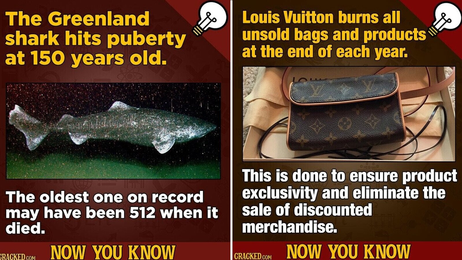 33 Trivia Tidbits to Impress That Date | Cracked.com