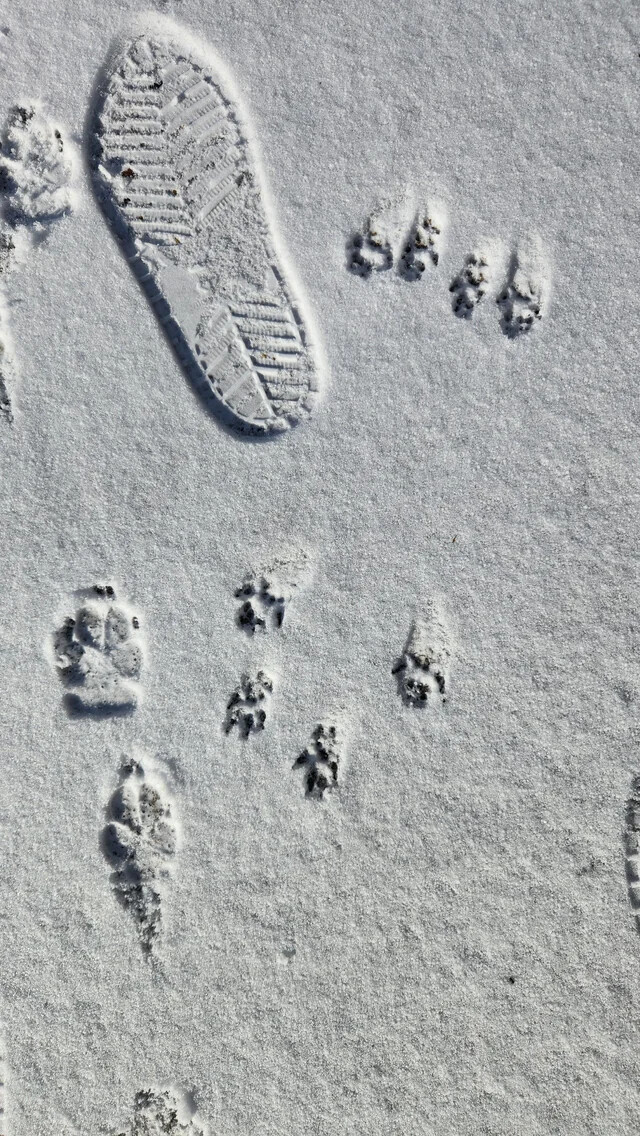 20 Photos You Might Have to Look at Twice to Understand | Cracked.com