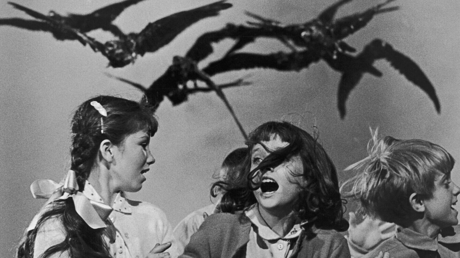 40 Counterintuitive Facts That Are Like the Dark Matter Holding ...