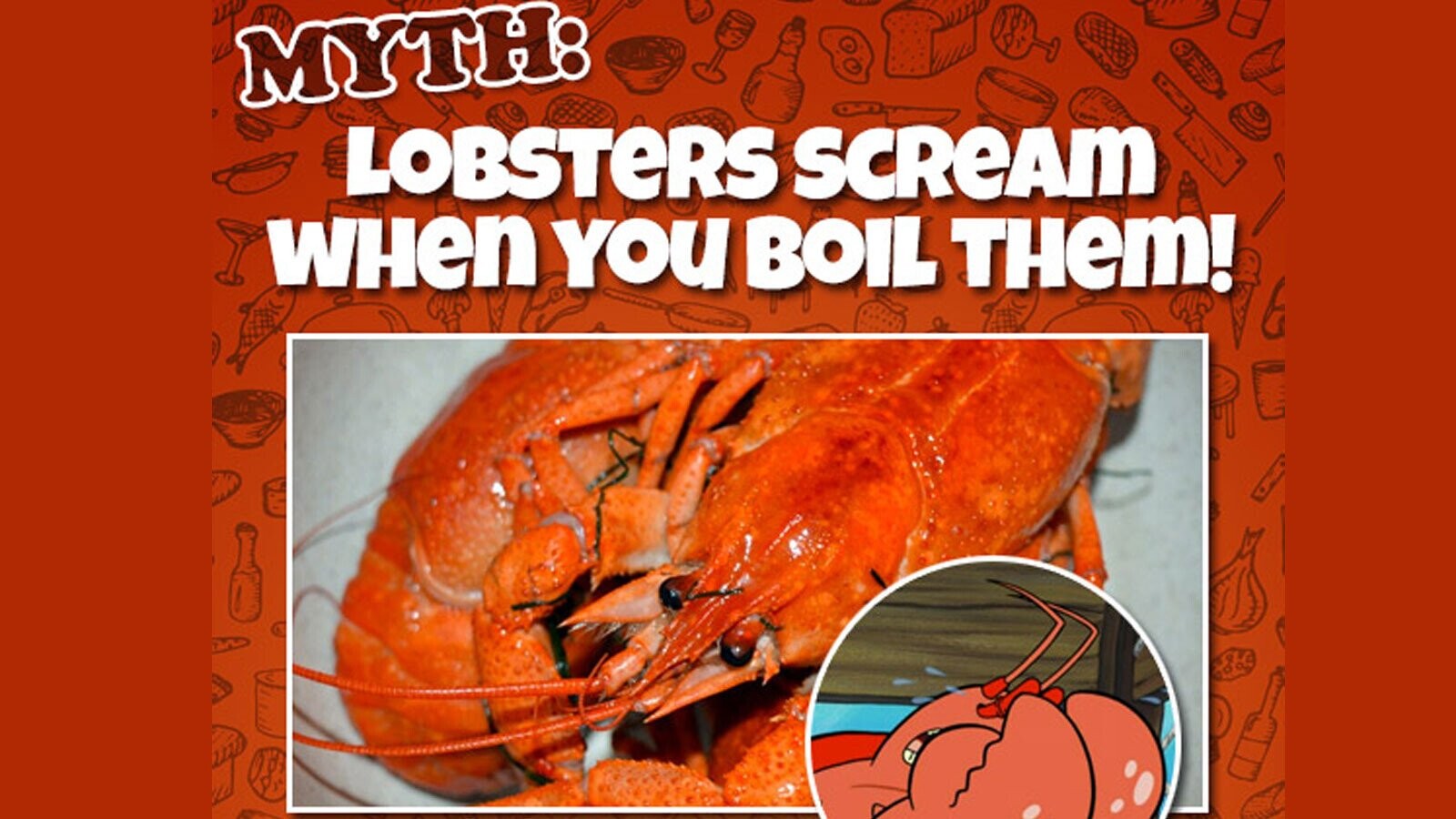24 Food And Cooking Myths | Cracked.com