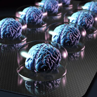 5 Horrific Things You Learn Preserving Brains for a Living | Cracked.com