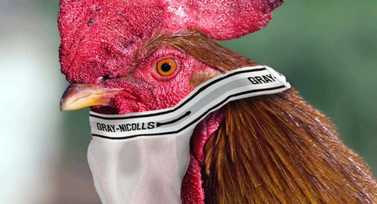 The 21 Biggest Flaws Nature Should Have Fixed By Now | Cracked.com