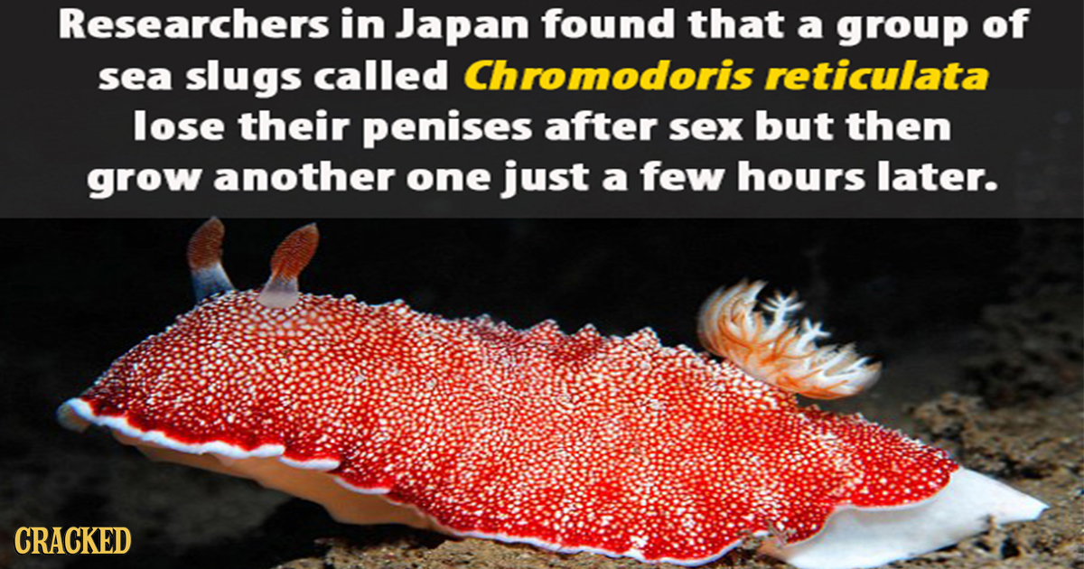 24 Sick Burns That You Can Feel All The Way Across History | Cracked.com