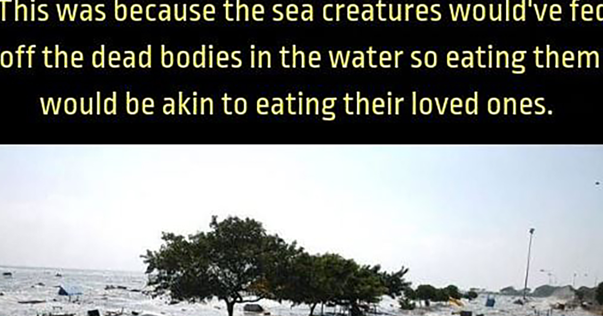 20 Famous Events With Surprisingly Weird Aftermaths | Cracked.com