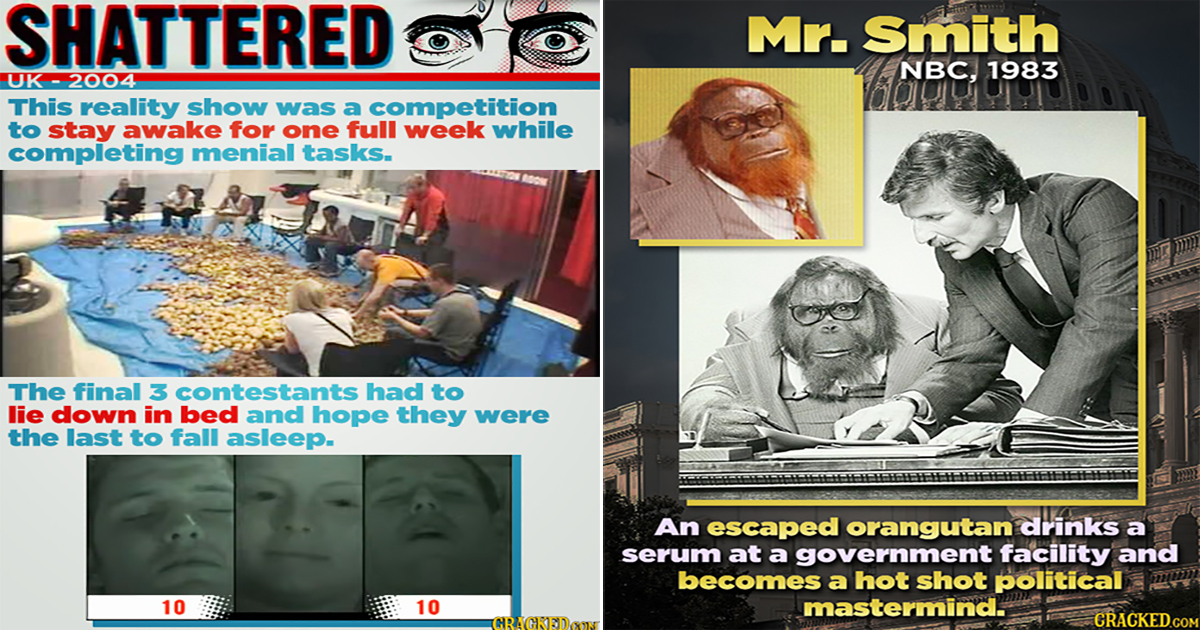 15 Bizarre TV Shows That Somehow Ended Up Airing | Cracked.com