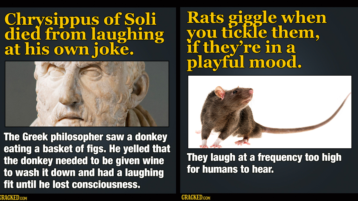 18 Facts About Laughter To Make You Overthink Every Joke | Cracked.com