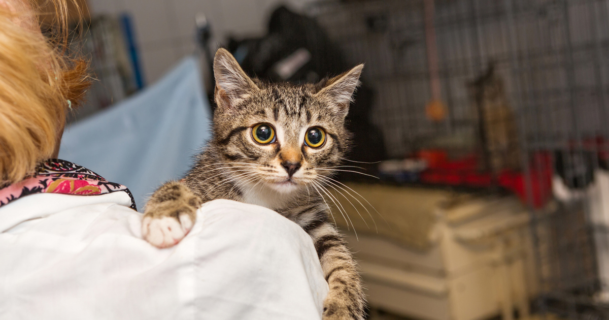 31 Impossible Scenarios That Terrify You Anyway | Cracked.com