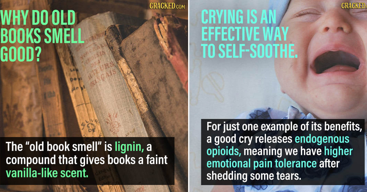 Simple Science That Makes Us Like Certain Stuff | Cracked.com