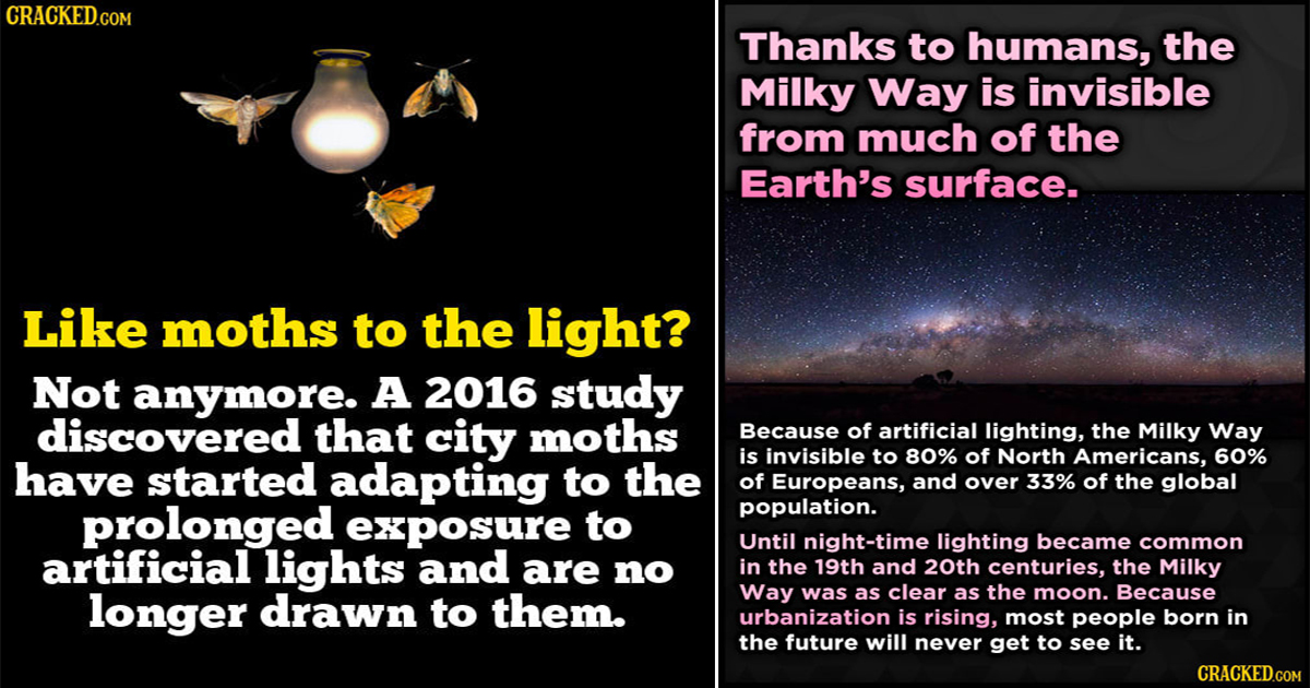 20 Bizarre Ways Humans Are Permanently Changing The Planet | Cracked.com