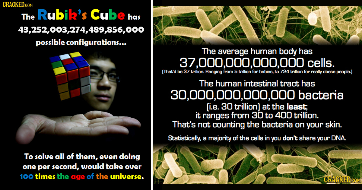 23 Insane (But True) Statistics | Cracked.com